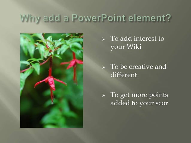 Wiki Powerpoint Option | PPT
