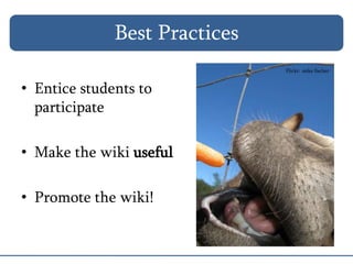 Wikis In Science Education | PPT