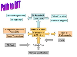 BIT Degree Progress 2007 | PPT