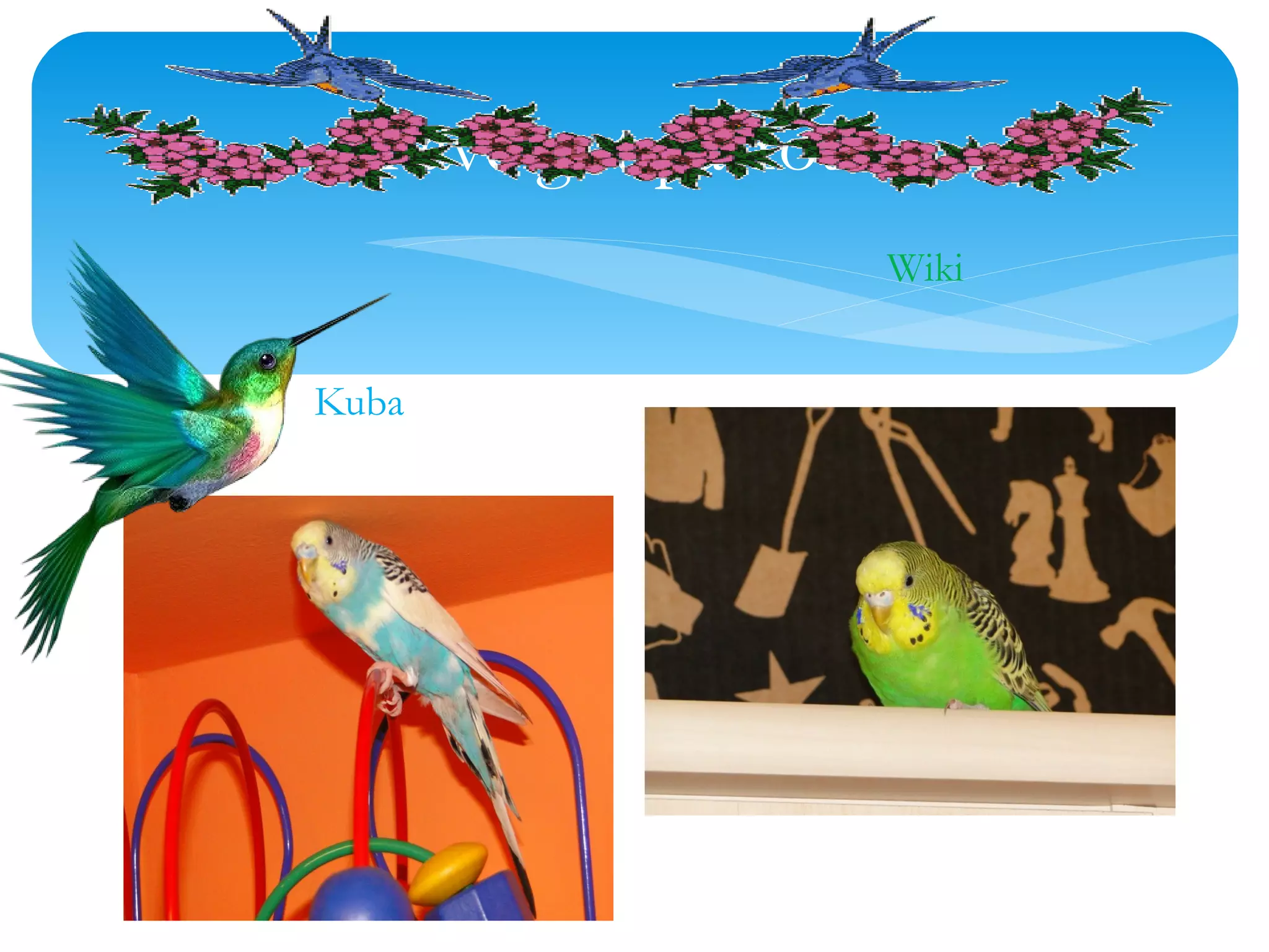 Wiktoria wieczorek kl 4c | ODP