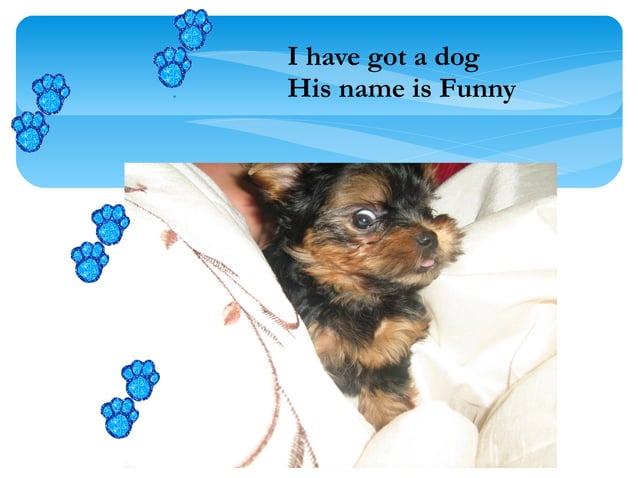 Wiktoria wieczorek kl 4c | ODP