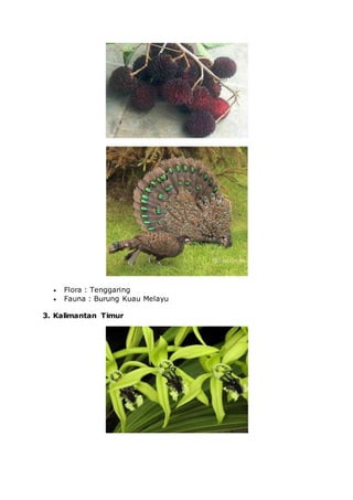 Wilayah flora dan fauna barat tipe asiatis | DOCX