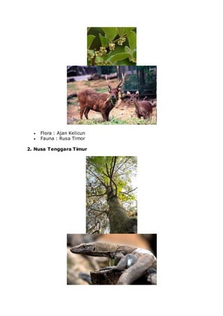 Wilayah flora dan fauna barat tipe asiatis | DOCX