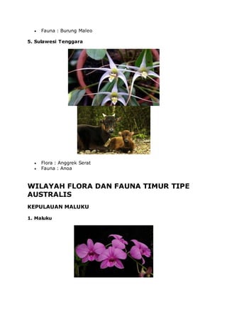 Wilayah flora dan fauna barat tipe asiatis | DOCX