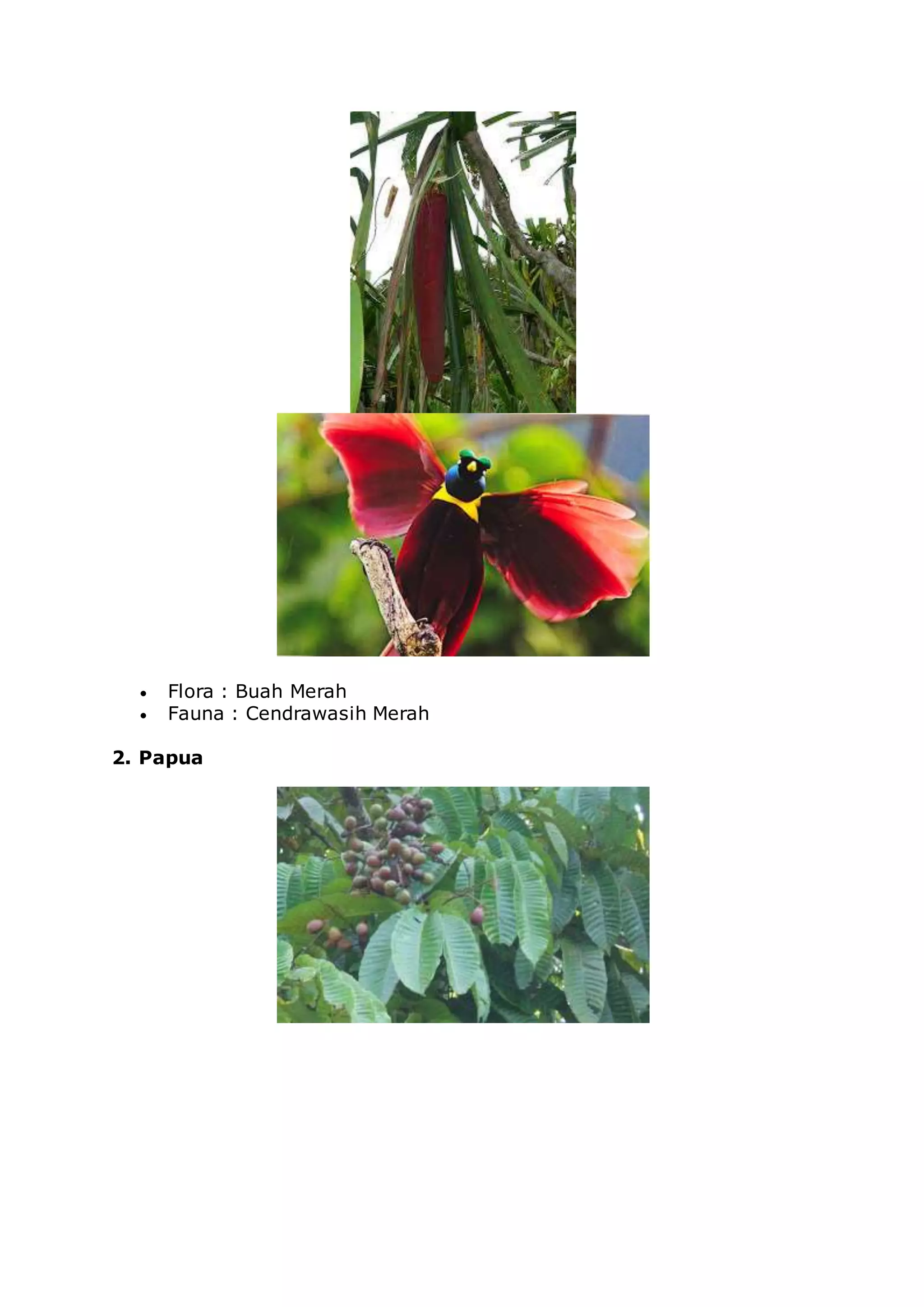 Wilayah flora dan fauna barat tipe asiatis | DOCX