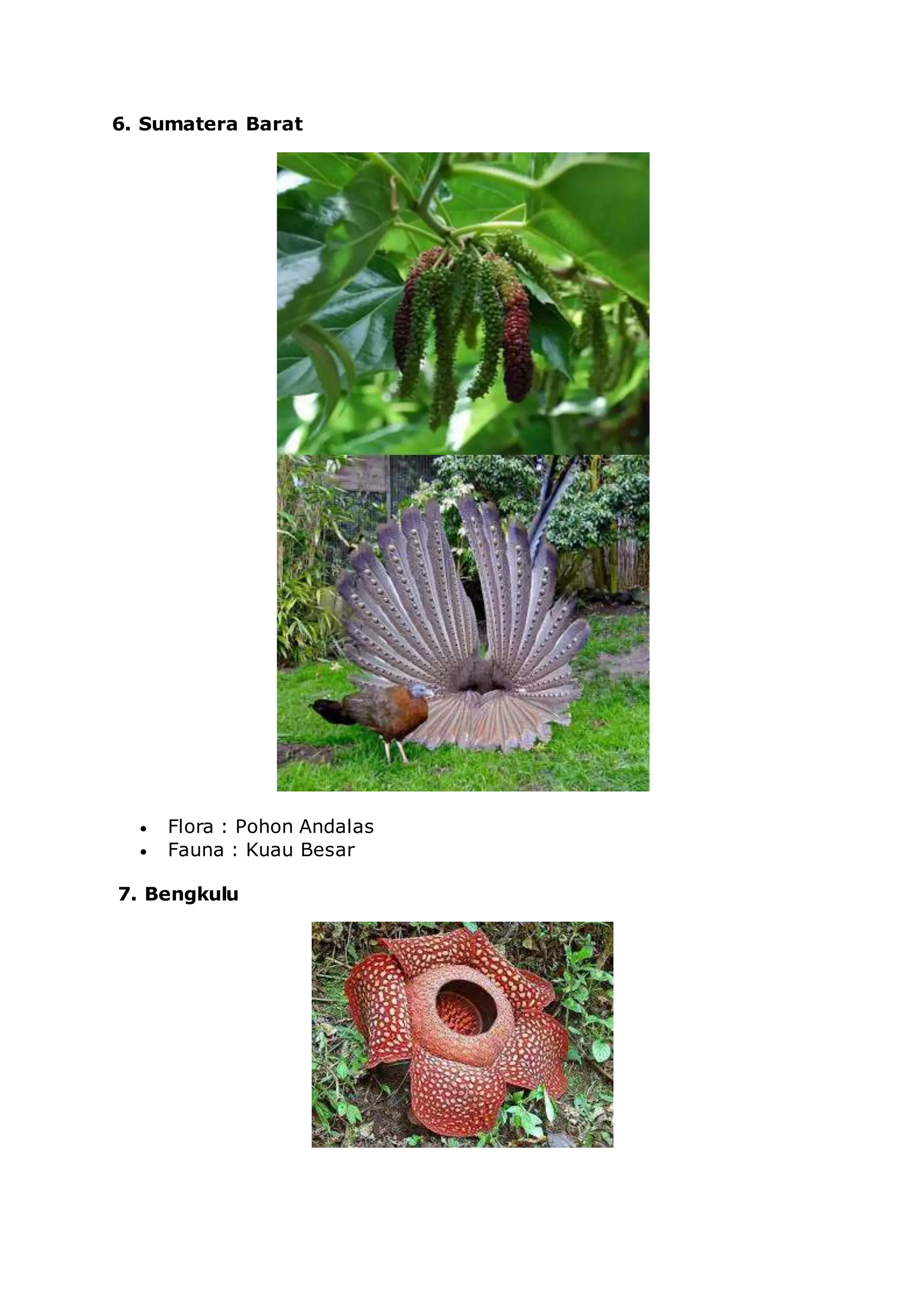 Wilayah flora dan fauna barat tipe asiatis | DOCX