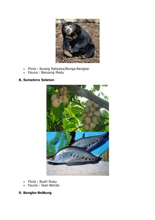 Wilayah flora dan fauna barat tipe asiatis | DOCX