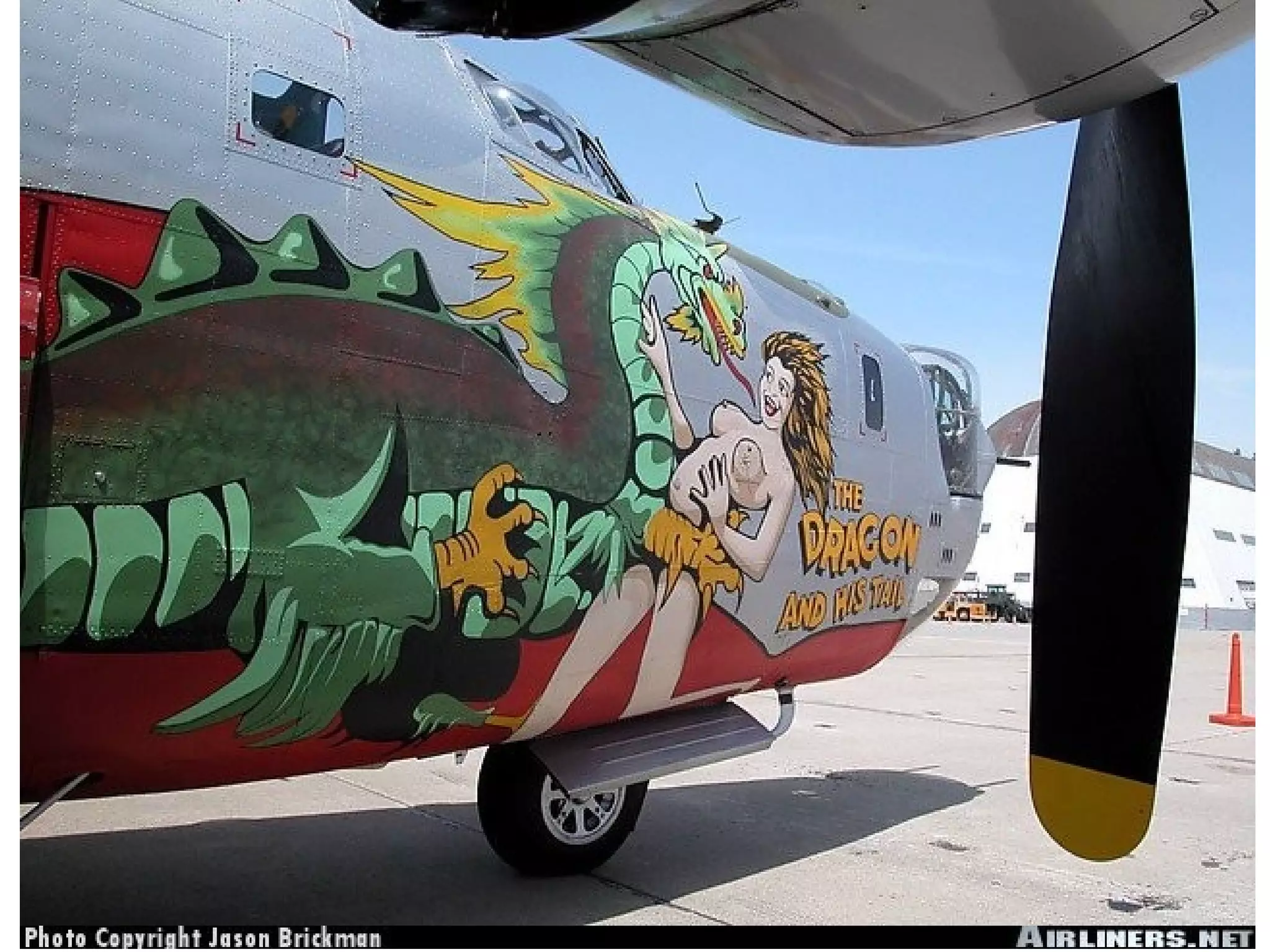 Wild.Aircraft.Paint.Schemes | PPT