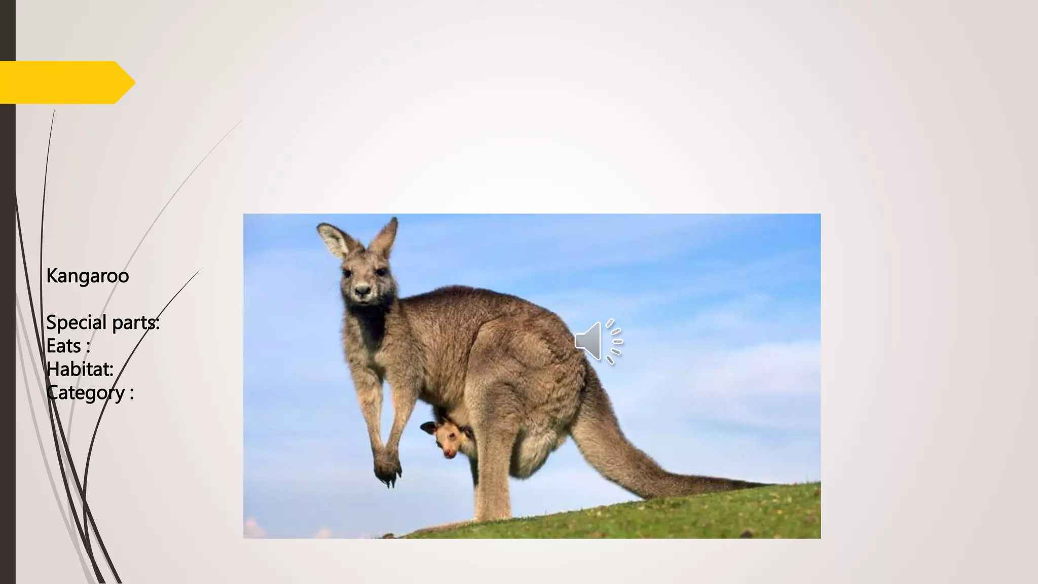 wild-animal-game-games_139998.pptx