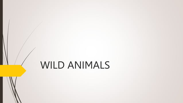 wild-animal-game-games_139998.pptx