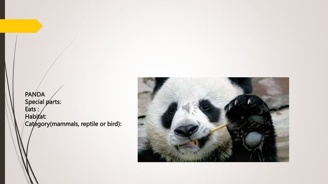 wild-animal-game-games_139998.pptx