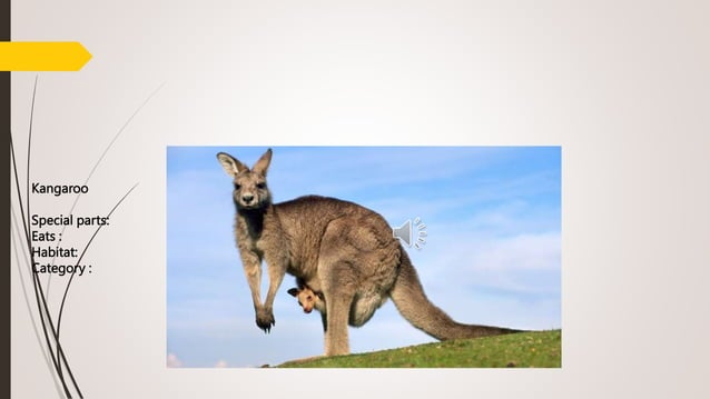 wild-animal-game-games_139998.pptx