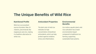 Experience Nature's Bounty: Battle River Wild Rice | PDF | Agriculture ...