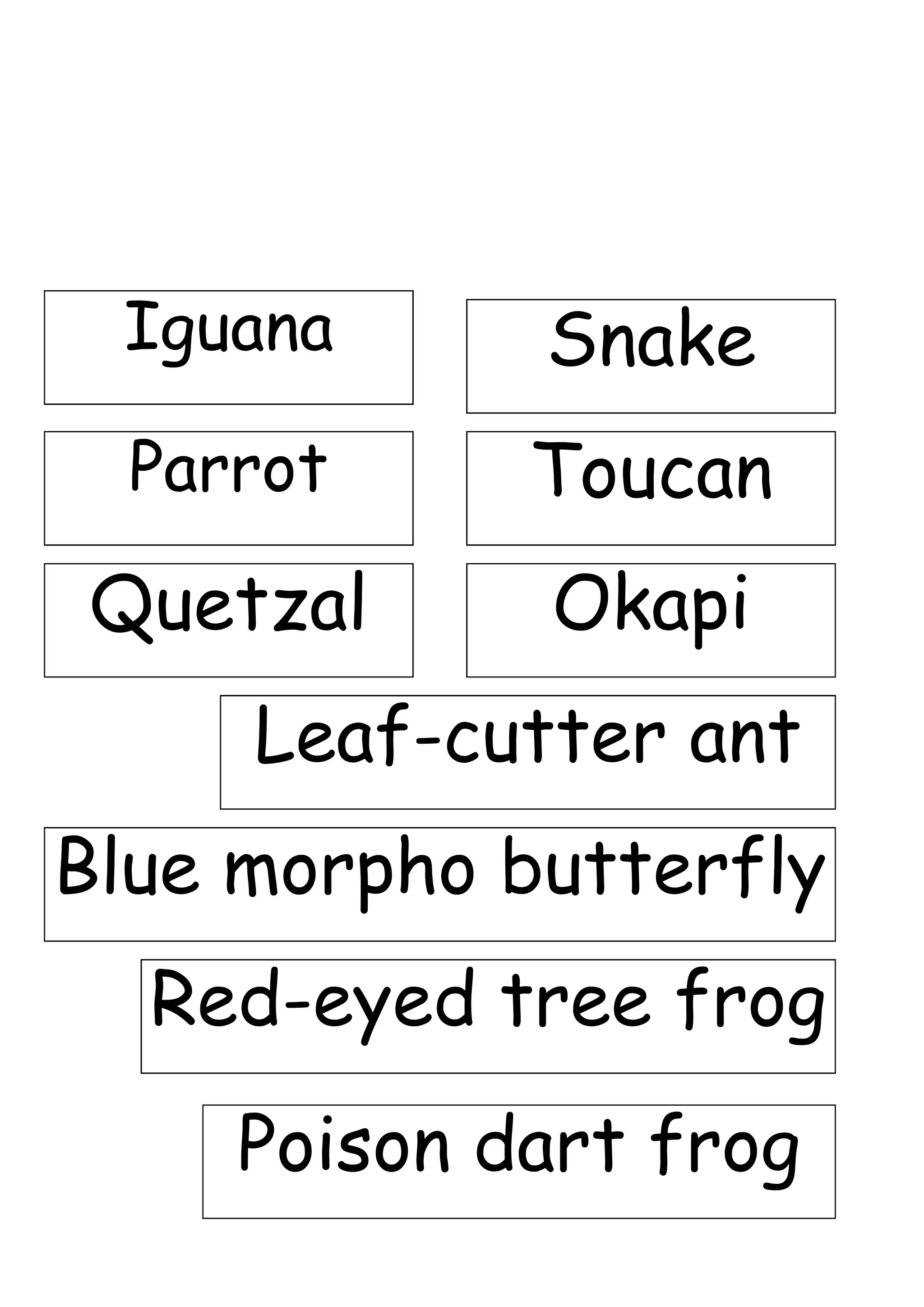 Wild animal labels | PDF