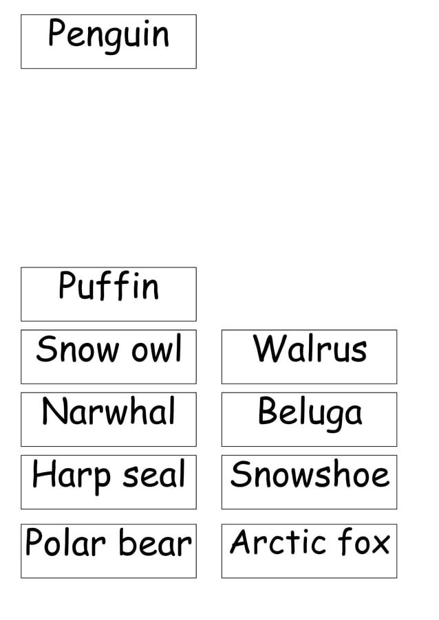 Wild animal labels | PDF