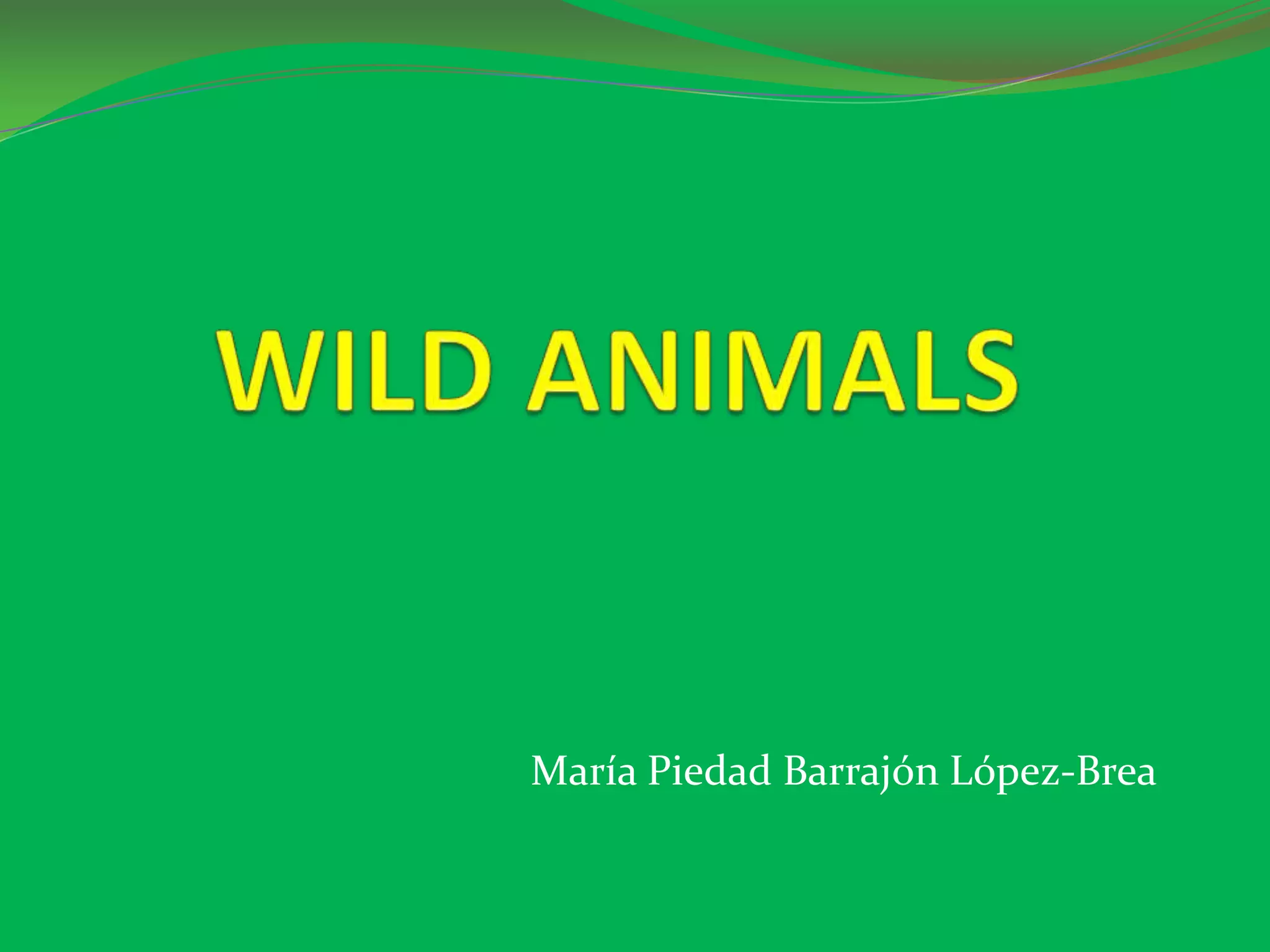 Wild animals | PPSX