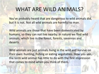 Wild Animals Information