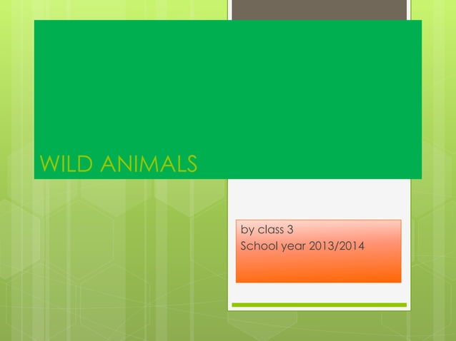 Wild animals | PPT