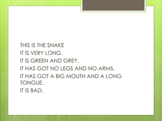Wild animals | PPT