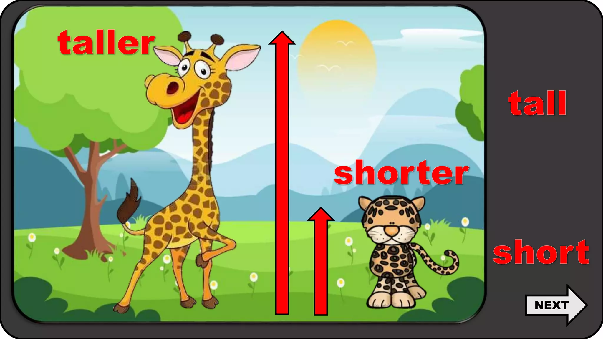Wild animals comparatives | PPTX