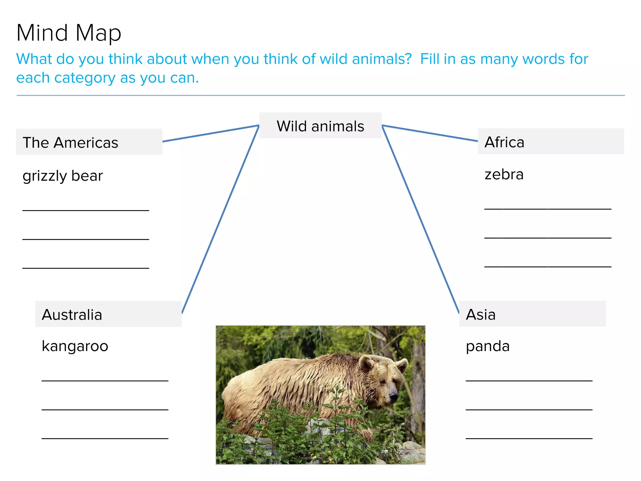 wild animals.pdf