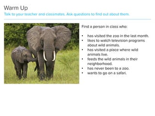 wild animals.pdf