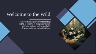 a pretty good power point presentation of about the wild animals | PDF