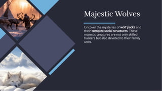 a pretty good power point presentation of about the wild animals | PDF