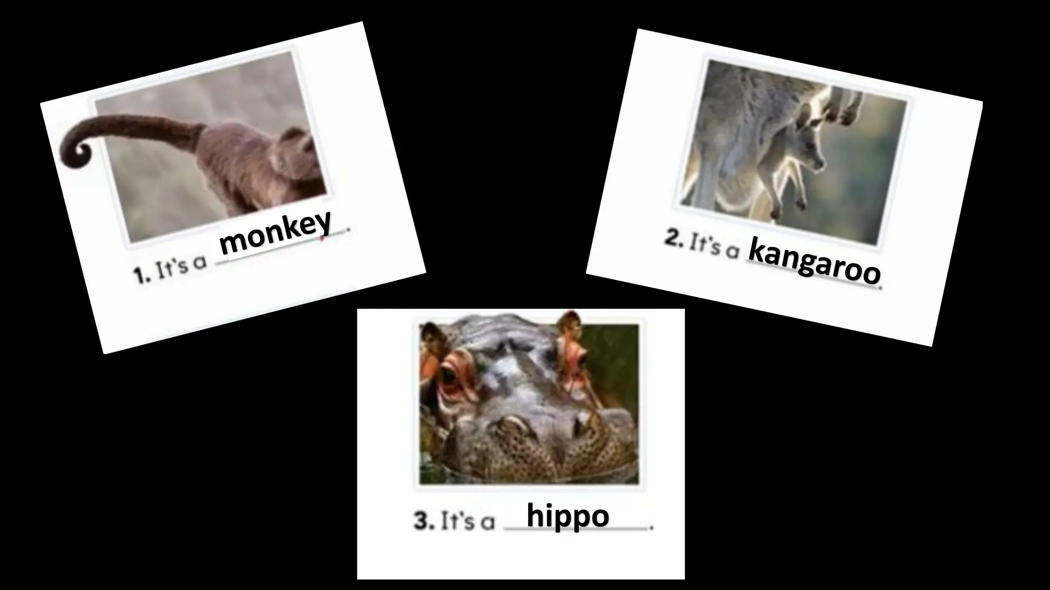 Learning Wild Animals for Elementary Class .pdf