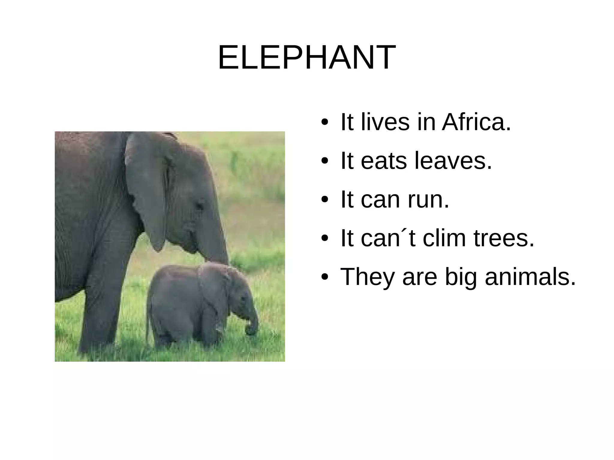 Wild animals. tema2. dani Coca | ODP