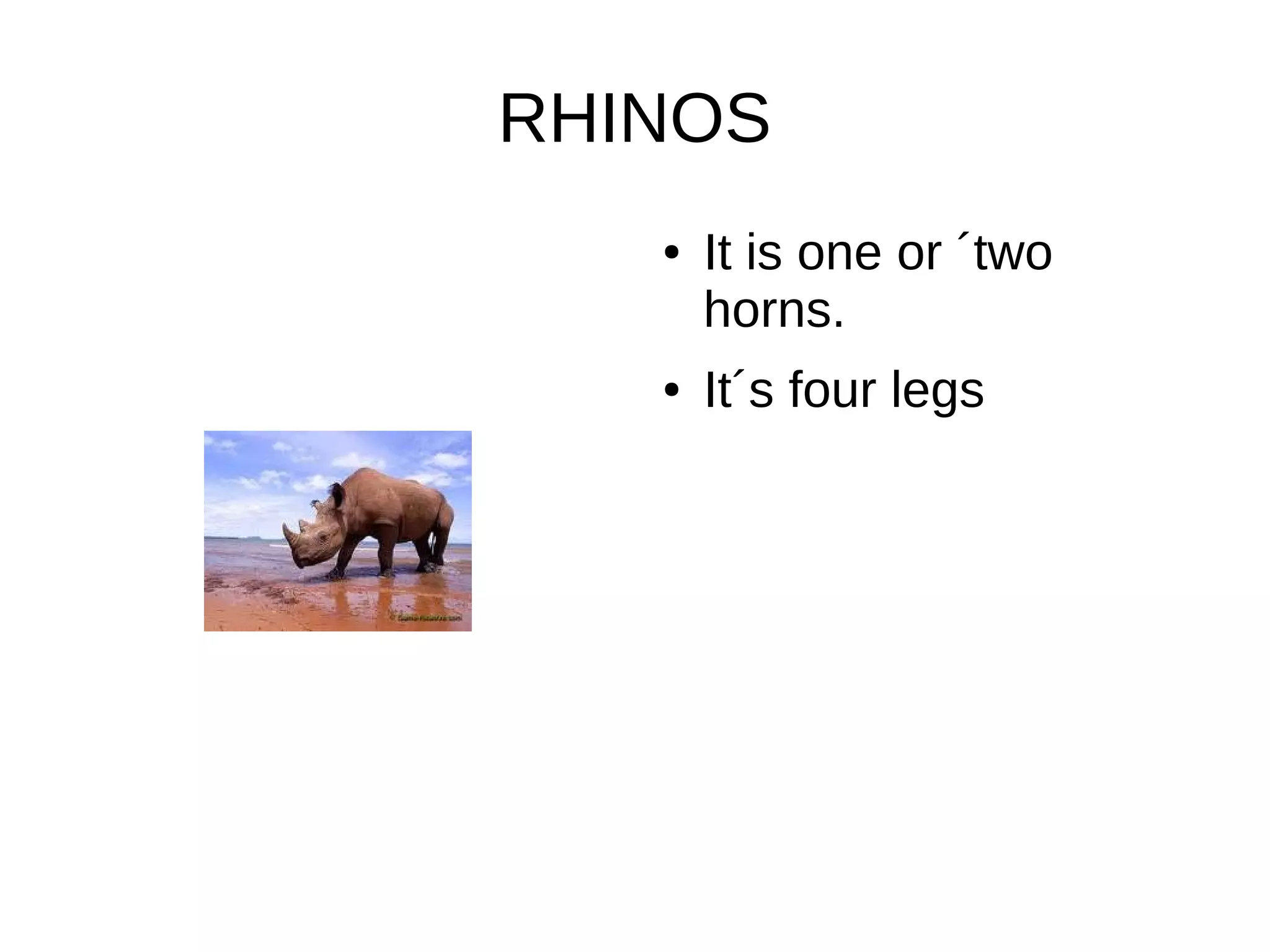 Wild animals. tema2. dani Coca | ODP