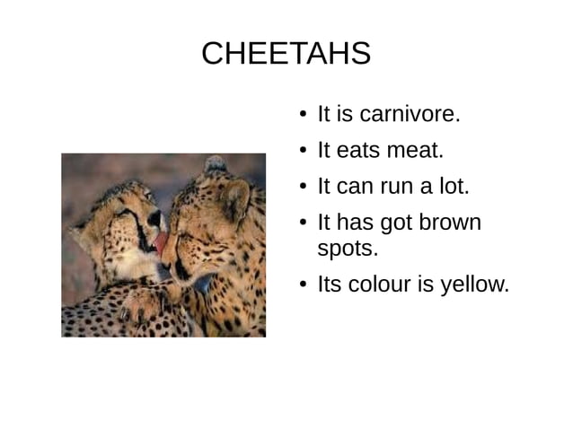 Wild animals. tema2. dani Coca | ODP