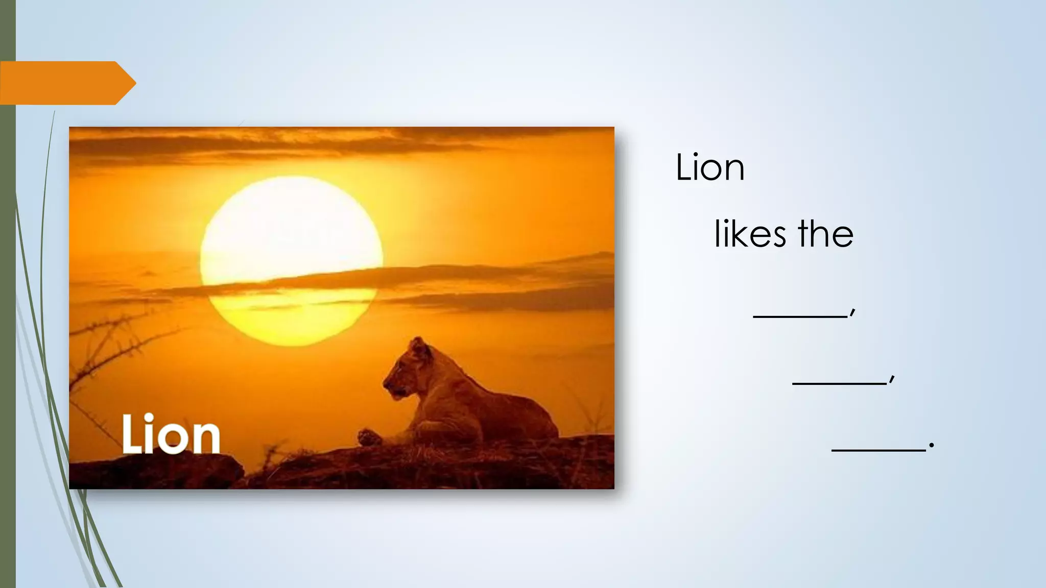 Wild Animals Lesson 1 | PDF