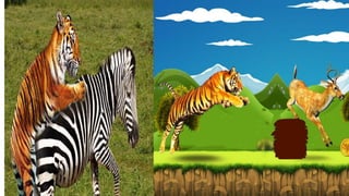 List of wild animals for kindergarten kids | PPTX