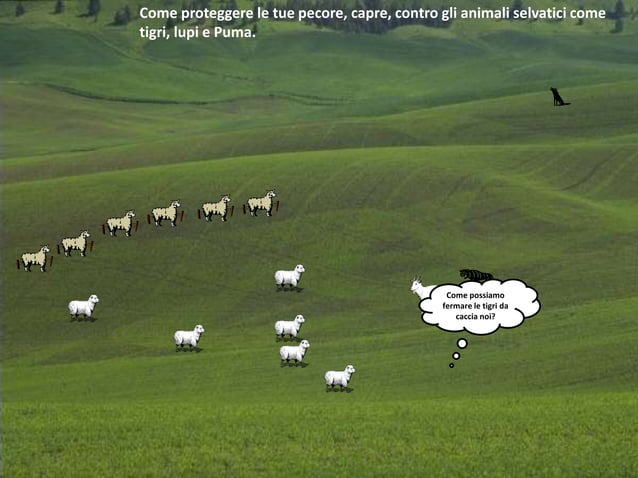 Wild animals 2 italian | PPTX | Reptiles | Pets