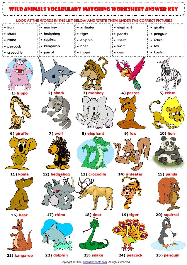 Wild animals esl vocabulary matching exercise worksheet