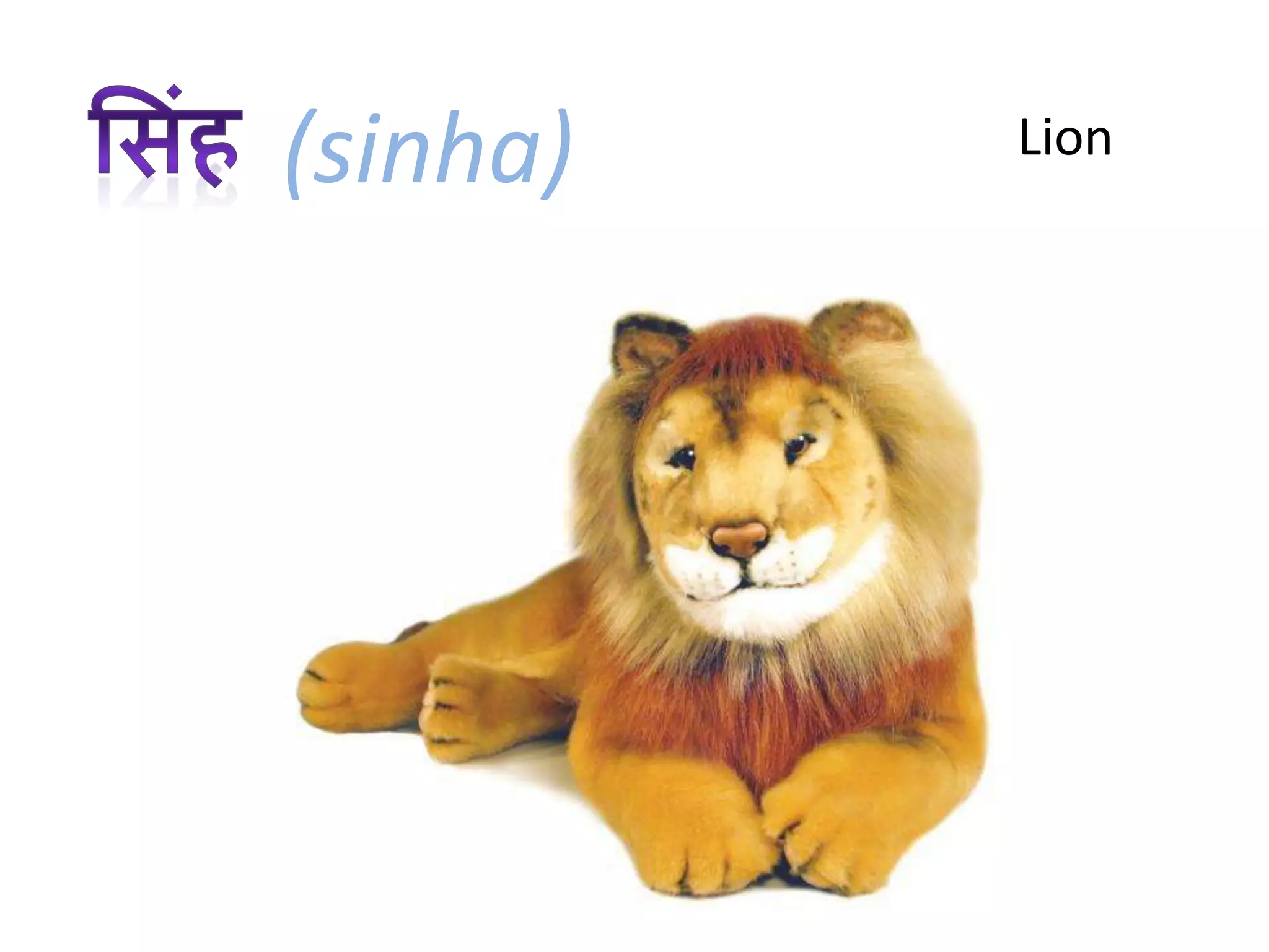 Wild Animals in marathi | PPTX