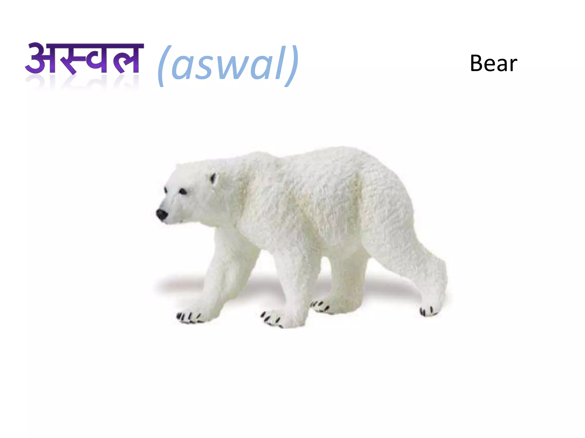 Wild Animals in marathi | PPTX