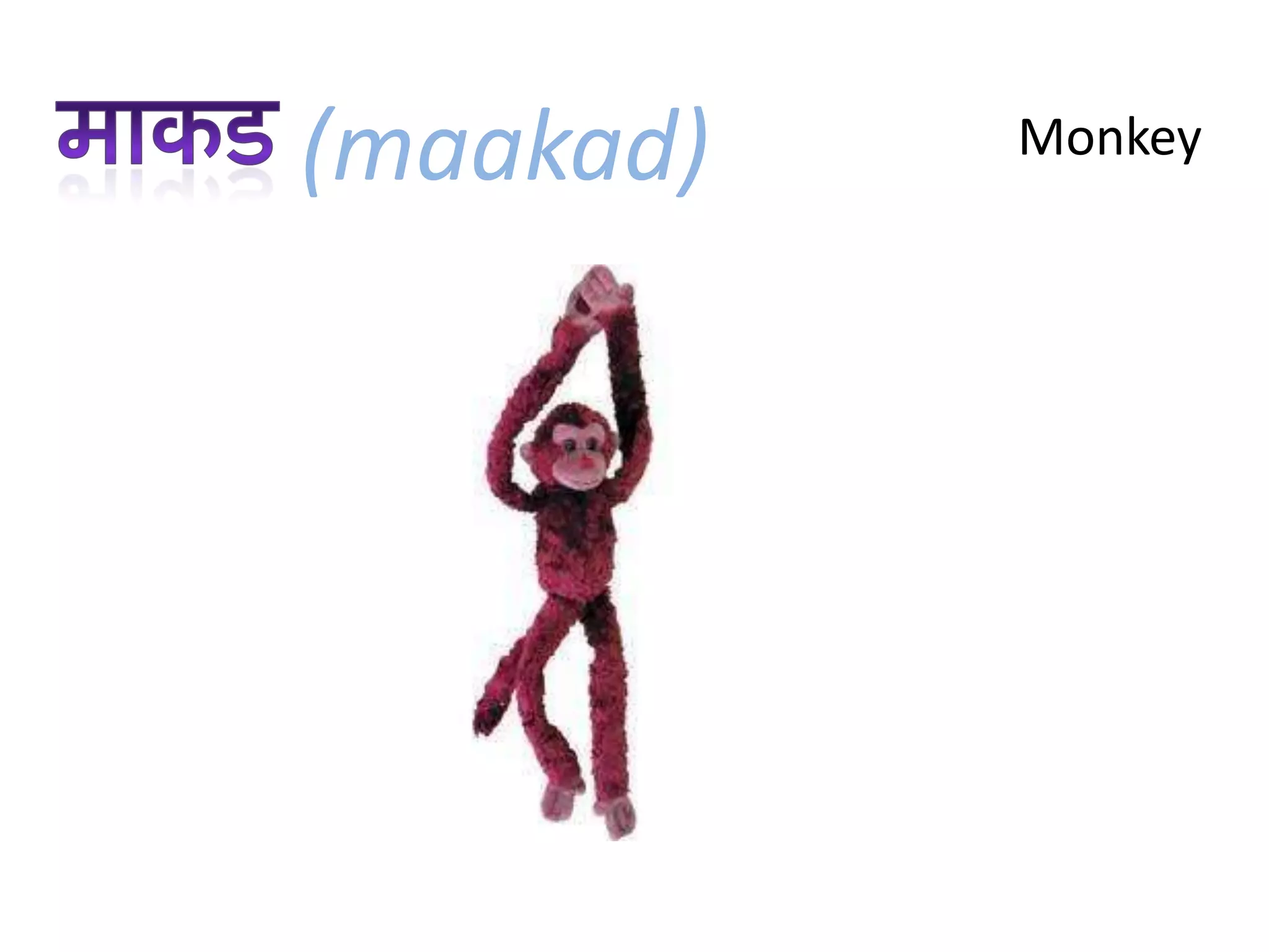 Wild Animals in marathi | PPTX