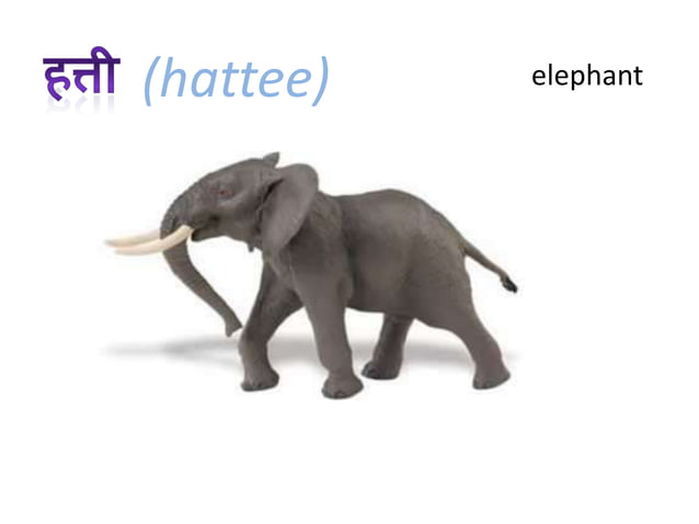 Wild Animals in marathi | PPTX