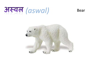 Wild Animals in marathi | PPTX