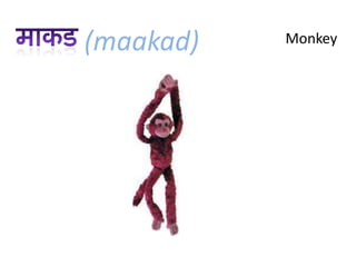 Wild Animals in marathi | PPTX