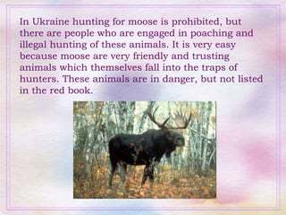 Wild animals in ukraine | PPTX