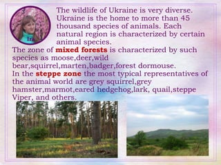 Wild animals in ukraine | PPTX