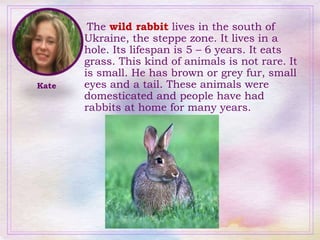 Wild animals in ukraine | PPTX