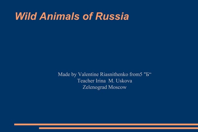 Wild animals of russia | PPT
