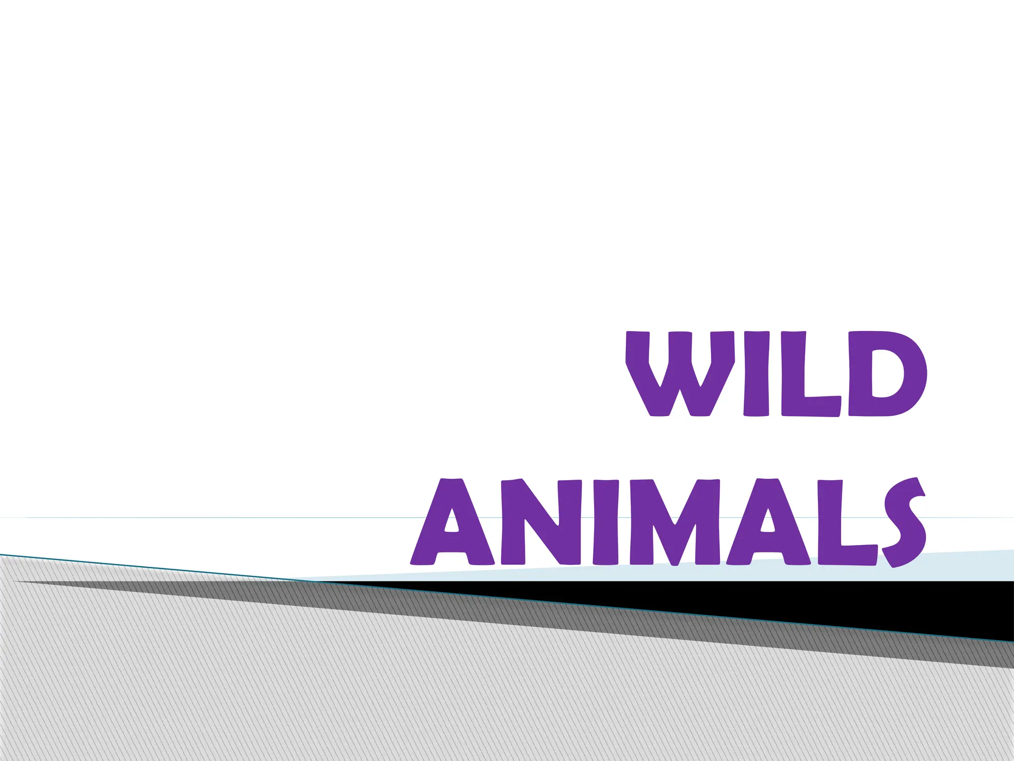 WILD ANIMALS POWERPOINT WILD ANIMALS POWERPOINT | PPTX