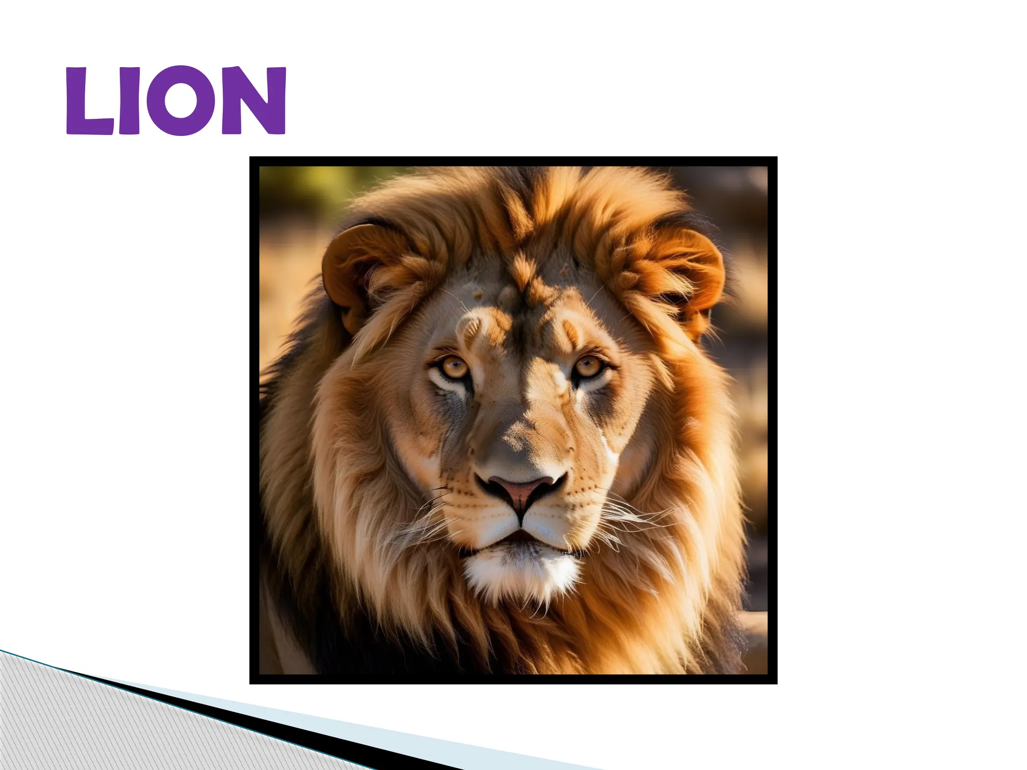 WILD ANIMALS POWERPOINT WILD ANIMALS POWERPOINT | PPTX