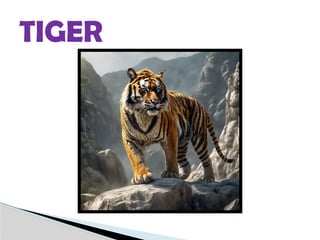 WILD ANIMALS POWERPOINT WILD ANIMALS POWERPOINT | PPTX