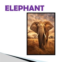 WILD ANIMALS POWERPOINT WILD ANIMALS POWERPOINT | PPTX
